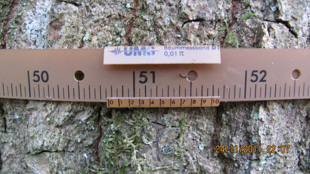 Measuring tree growth - Forest Research
