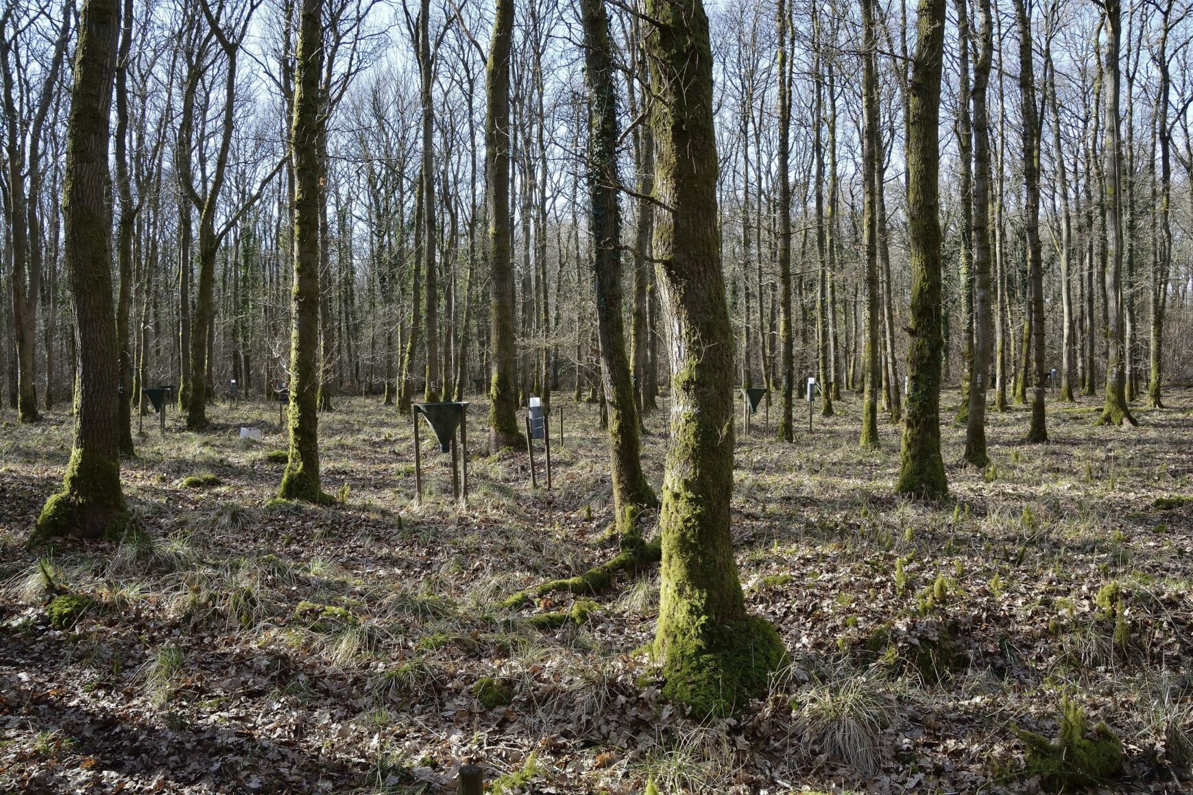 Integrated forest monitoring - Forest Research