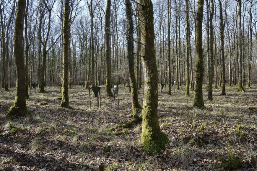 Integrated forest monitoring - Forest Research