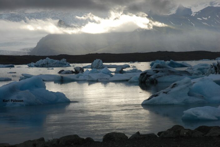 Climate News Archive - Forest Research