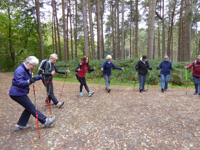 Fun and fitness in the forest - Forest Research
