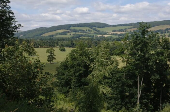 Delivering Resilient Forests - Forest Research