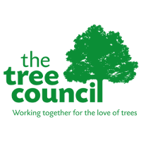Analysis and development of local authority tree strategies - Forest ...