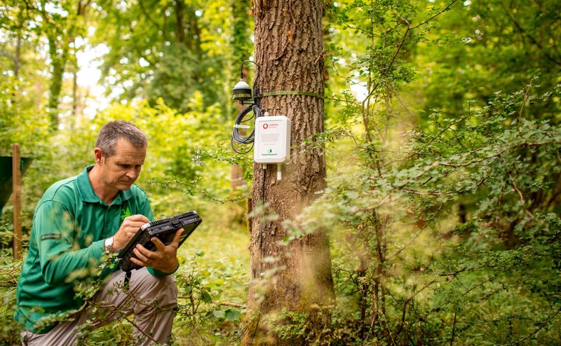 Forest Research collaborate with Defra and Vodafone to pilot new ...
