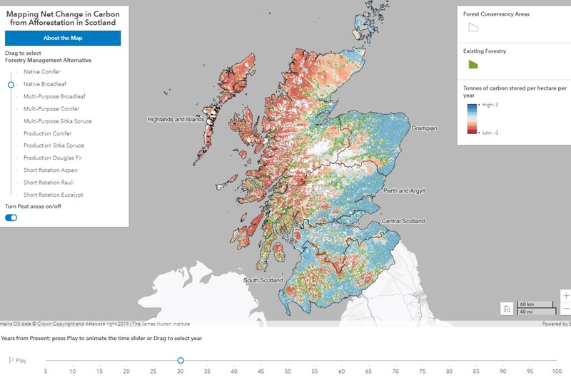 Not seeing the carbon for the trees? Mapping net change in carbon from ...