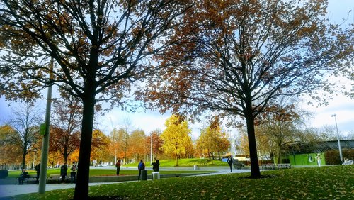 Study reveals changes in tree canopy cover in Britain’s urban areas ...