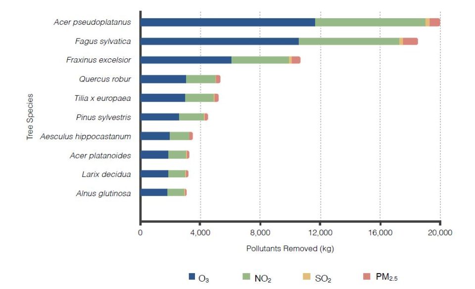 i-Tree Eco Belfast - Forest Research