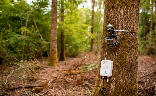 Connecting trees and forests to the Internet of Things - Forest Research