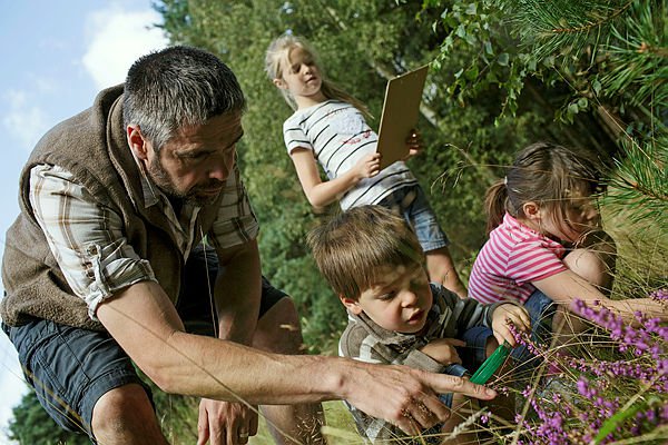 Why society needs nature - lessons from research during Covid-19 ...