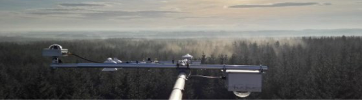 How does replanting productive conifers affect carbon sequestration on ...