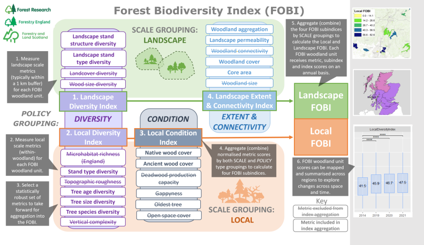 The FOrest Biodiversity Index (FOBI) - Forest Research