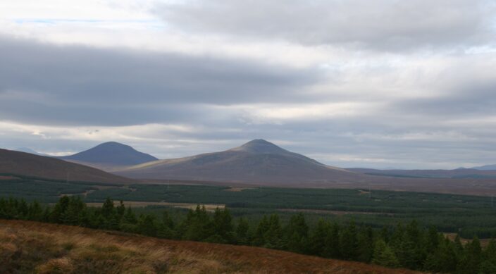 The impacts of conifer afforestation and climate on water quality and ...