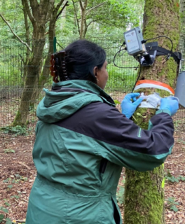 Homepage - Forest Research