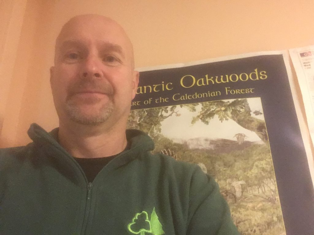 Timber properties of species with potential for wider planting in Great ...