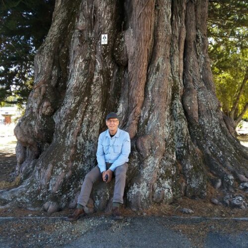 Andy Moffat - Forest Research