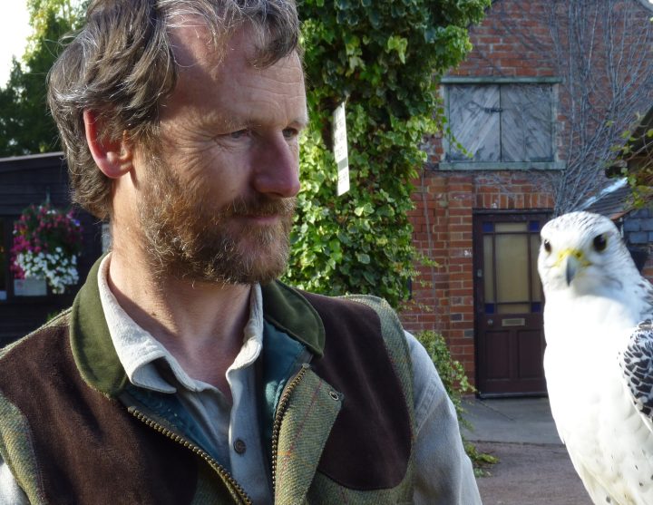 Biomass Energy resources - Forest Research