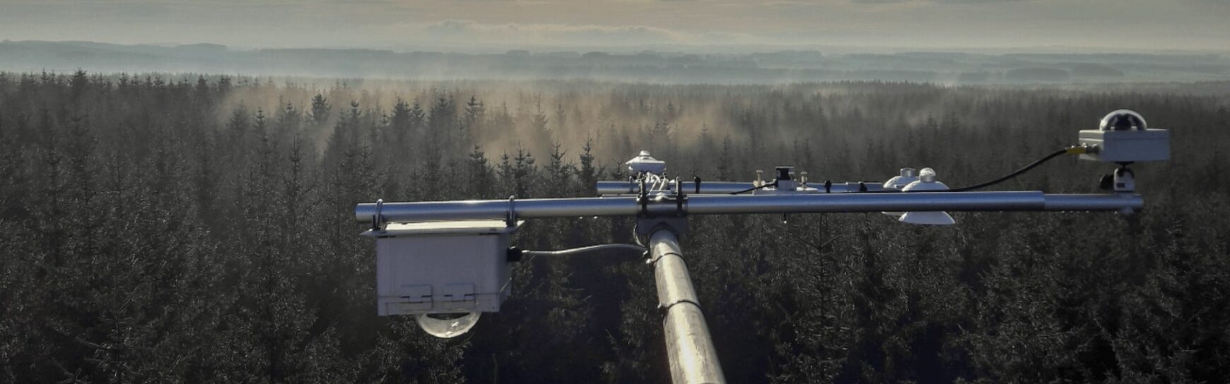 Research Forest Research