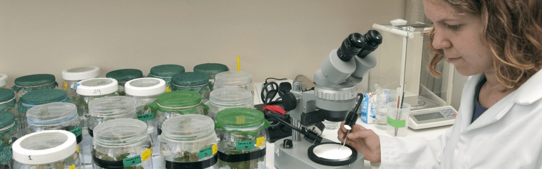 Tree Health Diagnostic and Advisory Service - Forest Research