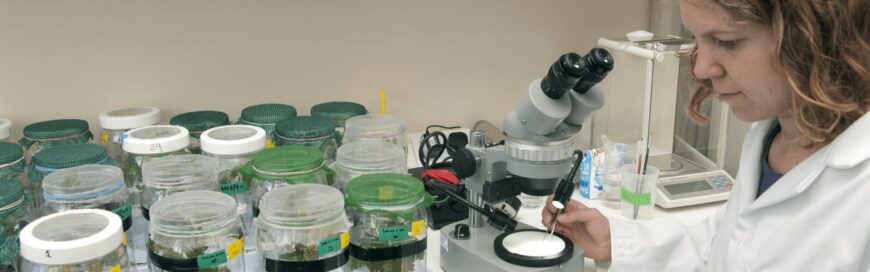 Tree Health Diagnostic and Advisory Service - Forest Research