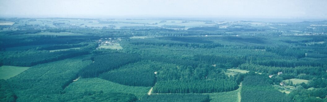 National Forest Inventory - Forest Research