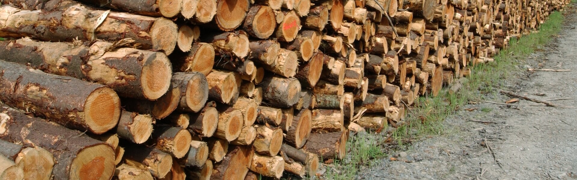 Timber Price Indices Forest Research
