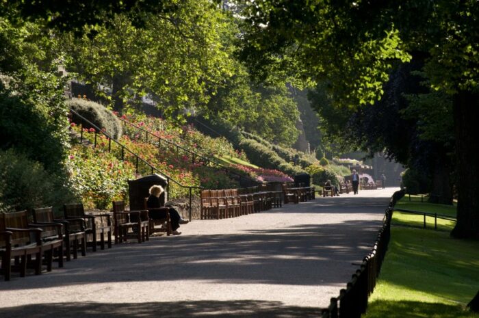 What is the urban forest? - Forest Research