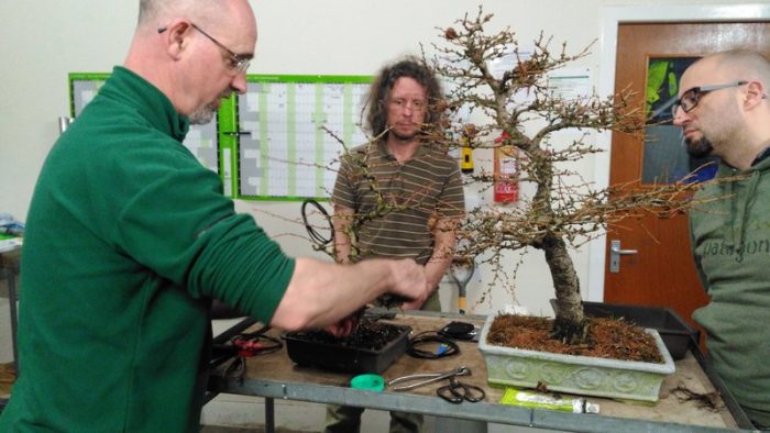 Careers - Forest Research