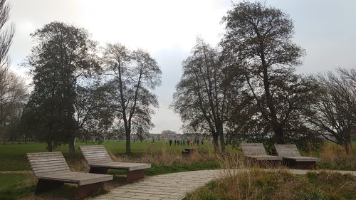 Volunteers needed for vital UK urban tree mapping project - Forest Research