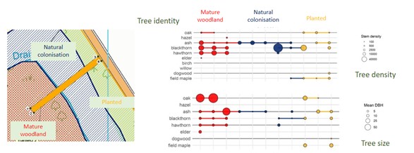 Ecology of Natural Colonisation - Forest Research