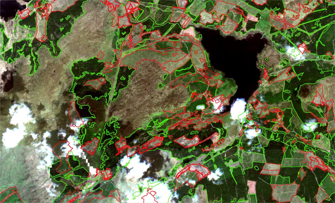 Remote Sensing - Forest Research