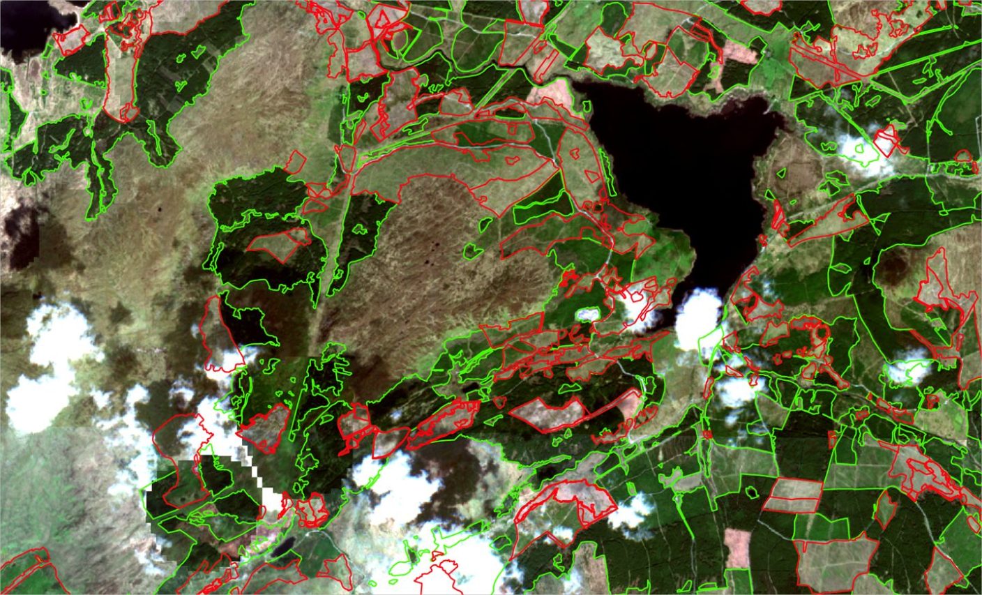Remote Sensing - Forest Research