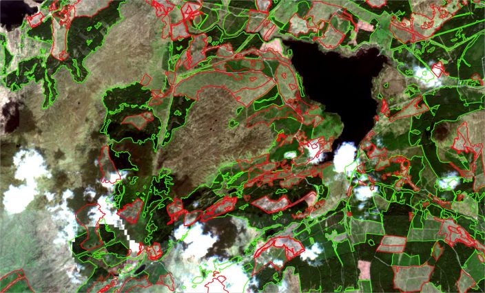 Remote Sensing - Forest Research