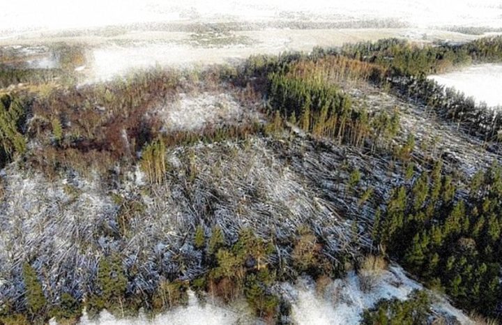 Remote Sensing - Forest Research