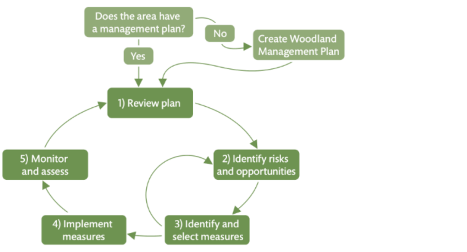 5-step adaptation framework - Forest Research