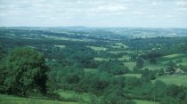 5-step adaptation framework - Forest Research