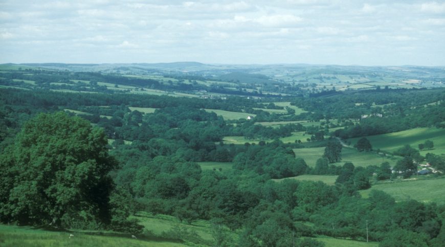 5-step adaptation framework - Forest Research