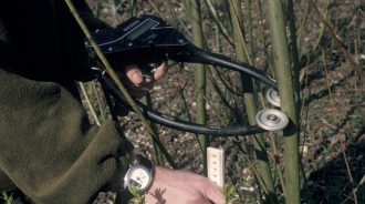 5-step adaptation framework - Forest Research