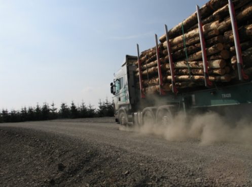 Adapting infrastructure - Forest Research