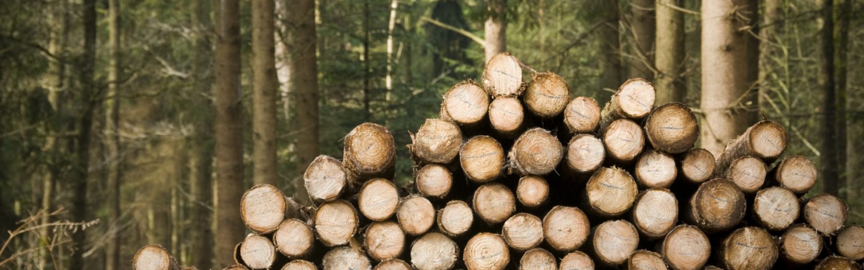 Timber production - Forest Research