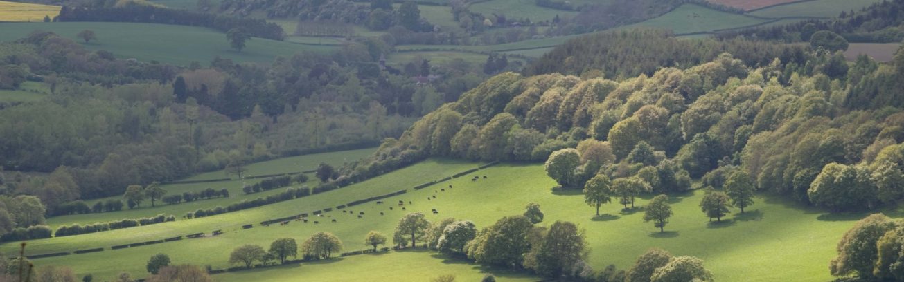 Woodland conservation - Forest Research