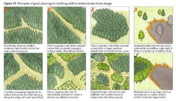 Wildfire - Forest Research