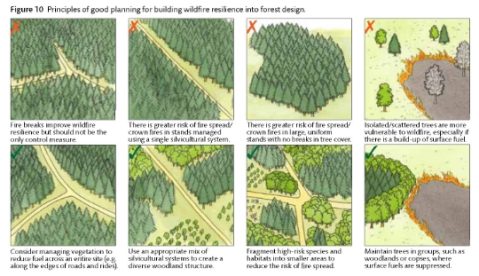 Wildfire - Forest Research
