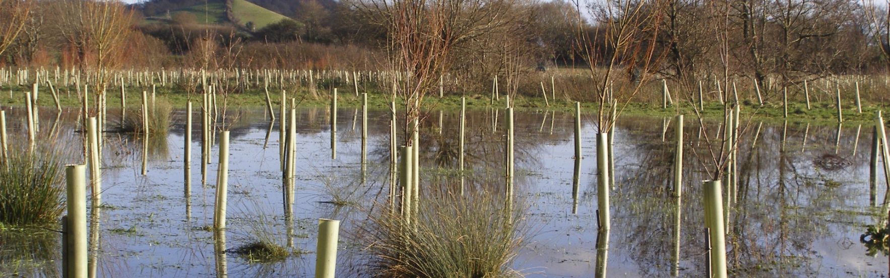 Flooding - Forest Research