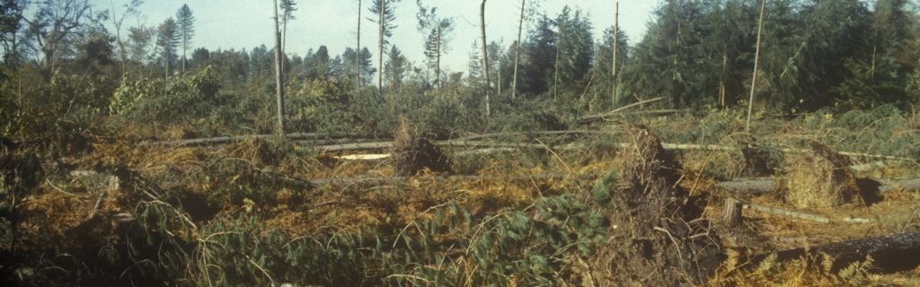 Windthrow - Forest Research