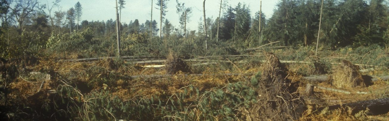 Windthrow - Forest Research