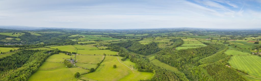 5-step adaptation framework - Forest Research