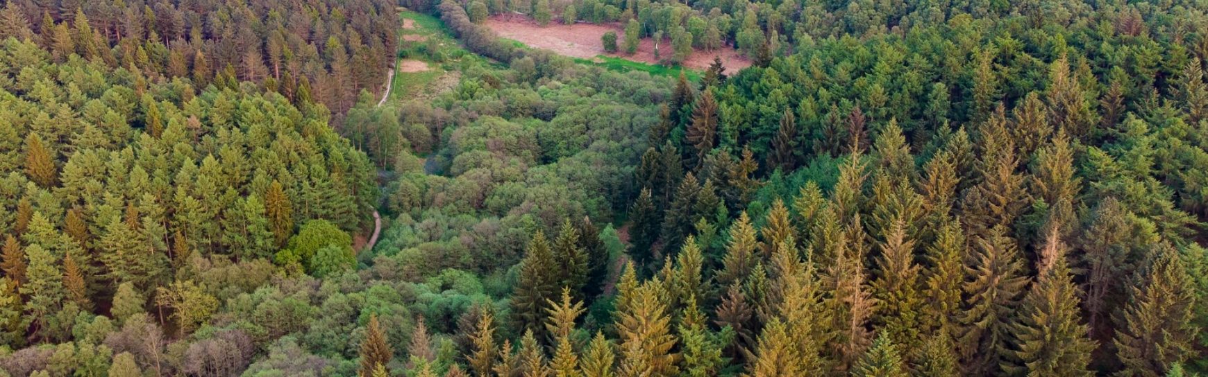 Adaptation Measures - Forest Research