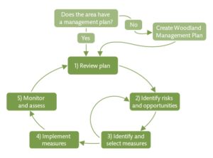 Considering forest and woodland design - Forest Research