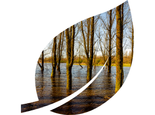 Flooding - Forest Research