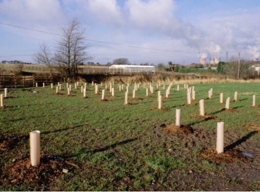 Mitigation - Forest Research